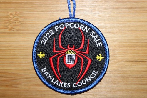 2022 Popcorn Bay Lakes Boy Scouts of America BSA Patch | eBay