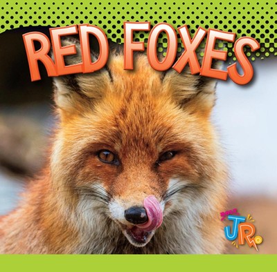 Red Foxes by Marysa Storm (English) Paperback Book 9781644664384| eBay
