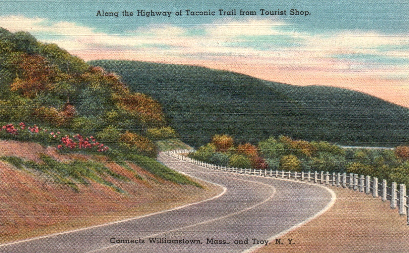 Highway of Taconic Trail from Tourist Shop, NY, Linen Vintage Postcard ...