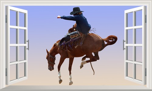 Rodeo Cowboy Rider 3D Magic Window Wall Art Self Adhesive Vinyl Poster ...
