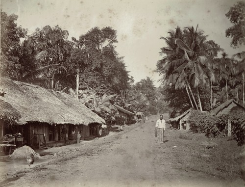 WLH Skeen Photographe Circa 1870 COLOMBO SRI LANKA Ceylan Banlieue de ...