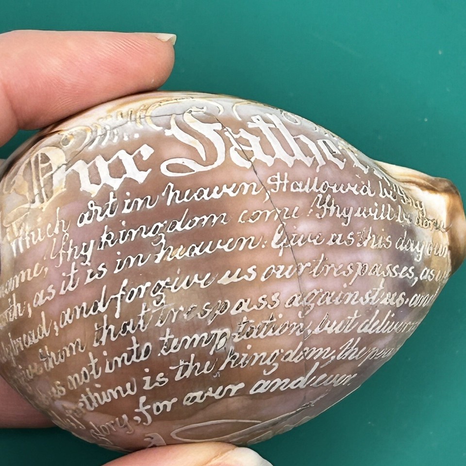 Carved Cowrie Sea Shell Lord's Prayer Vintage Souvenir Cursive Writing ...