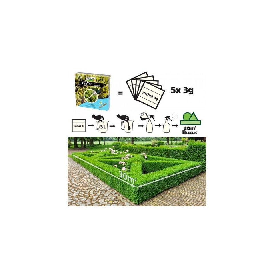 TOPBUXUS XenTari Professional Dosage Against Box Tree Moth Caterpillar ...