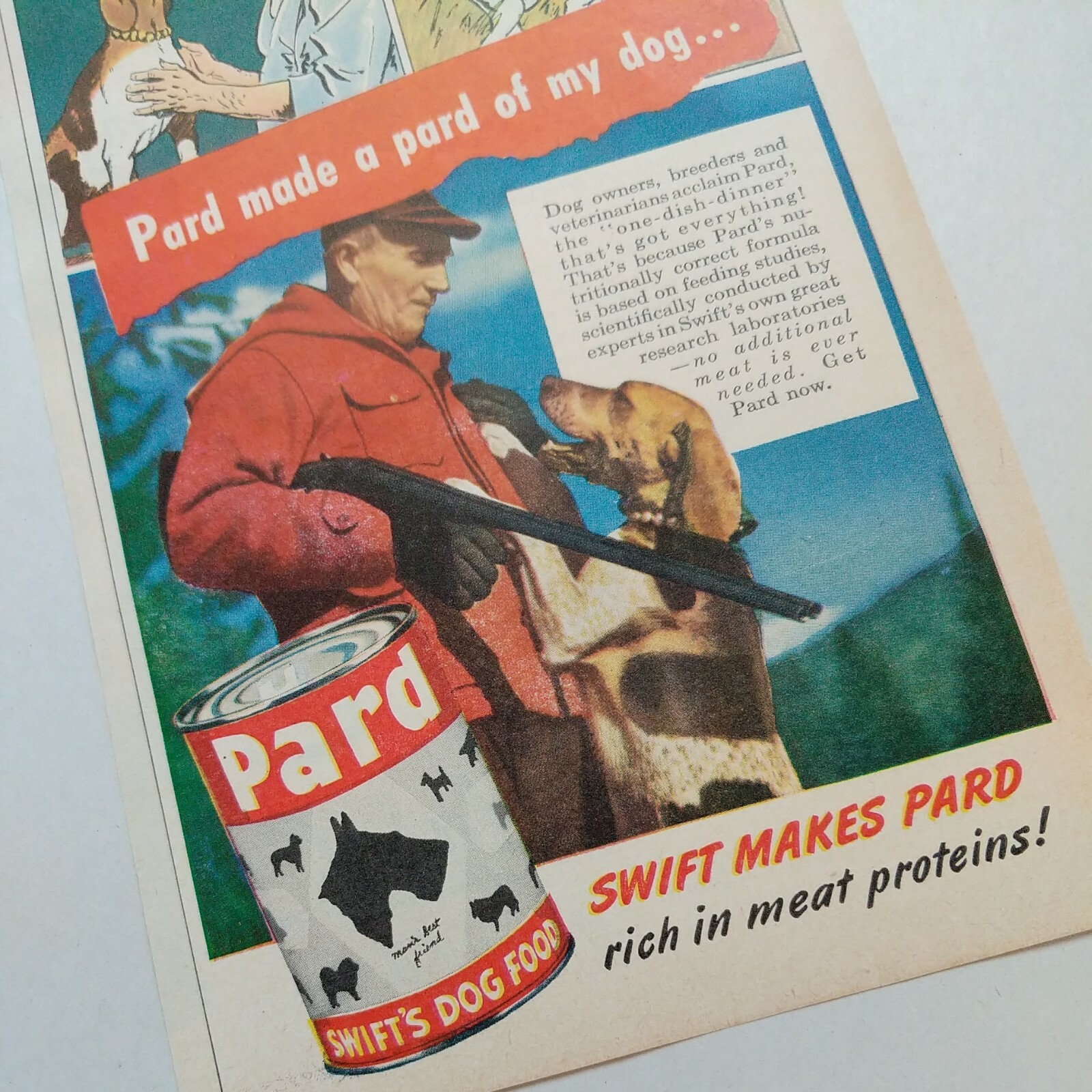 Vintage Swift Pard Dog Food 1947 Magazine Ad Hunting Dog | eBay