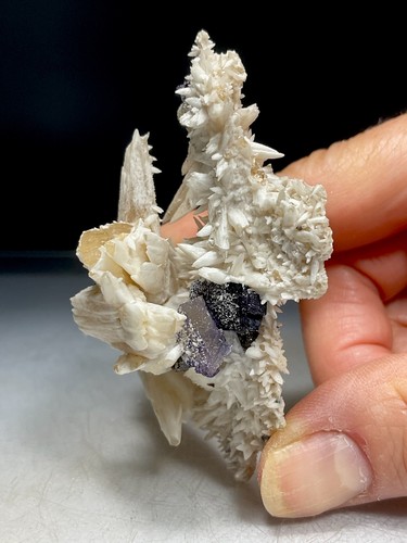 SS Rocks - Fluorescent Calcite with Fluorite (Minerva #1 Mine, Illinois ...