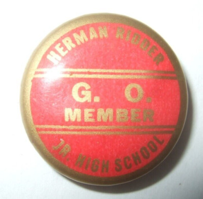 Bronx School Pin Herman Ridder Junior High GO Member | eBay
