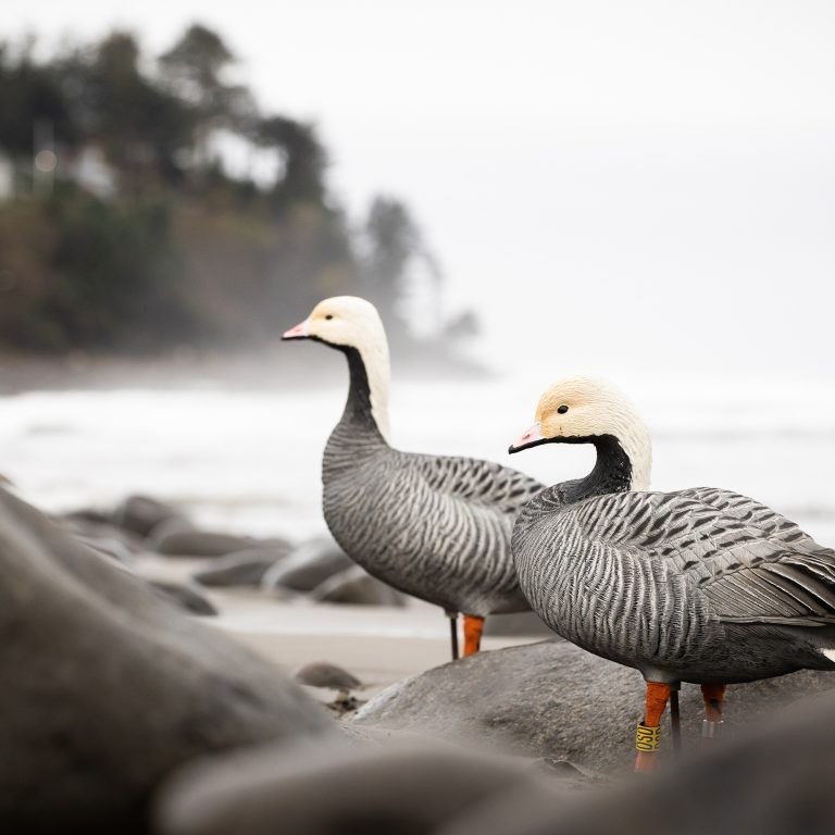 Dave Smith Decoys limited Series Edition Emperor pair DSD | eBay