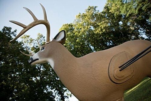 Big Shooter Buck 3D Foam Archery Target Crossbow Bow Deer Hunting with ...