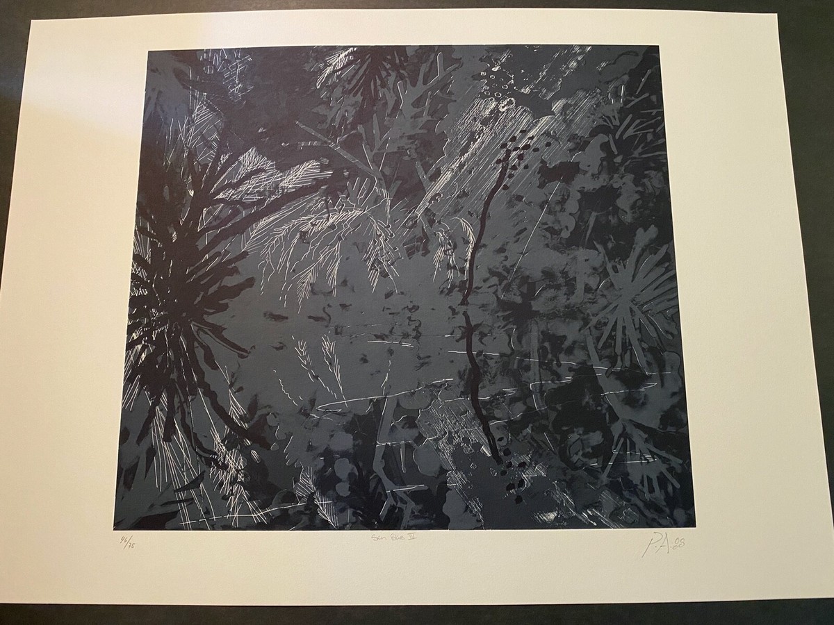 Peter Alexander Artist