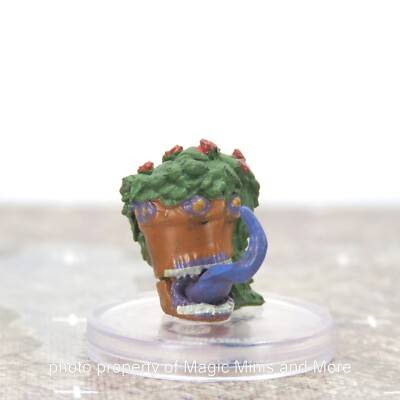 Colony ~ JUVENILE MIMIC #4 (Flower Pot) Icons of the Realms D&D ...