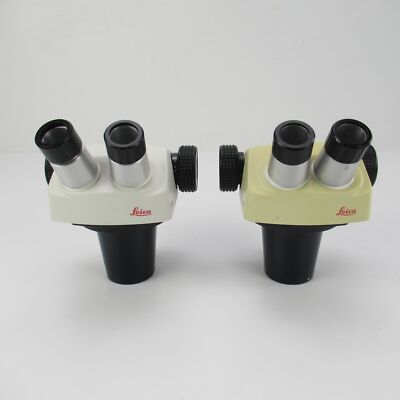 Microscopes - Stereozoom 4 Microscope