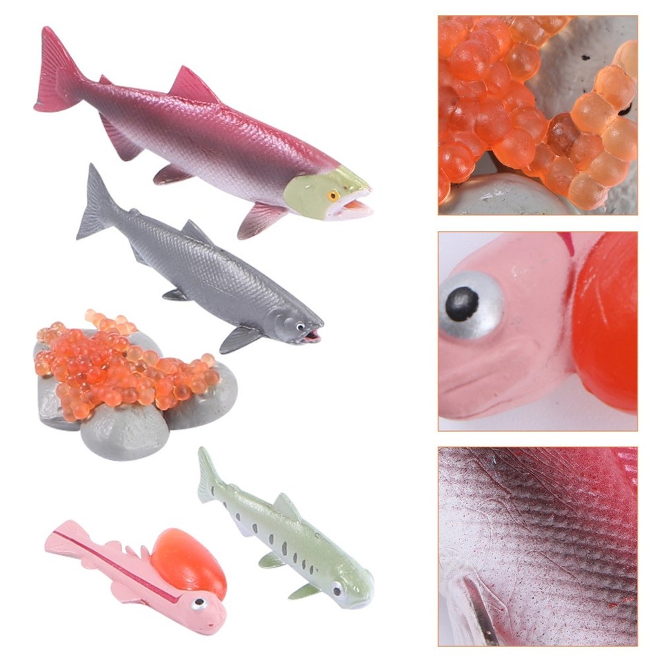4 Pcs Kids Observing Fish Model Childrens Toys Figurines Learning | eBay