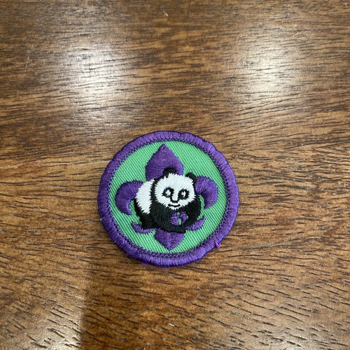 Older Boy Scout BSA World Conservation Award Panda Bear Green | eBay