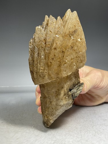 SS Rocks - "Unusual" Calcite Scepter (Rensselaer Quarry, Indiana) 1 ...