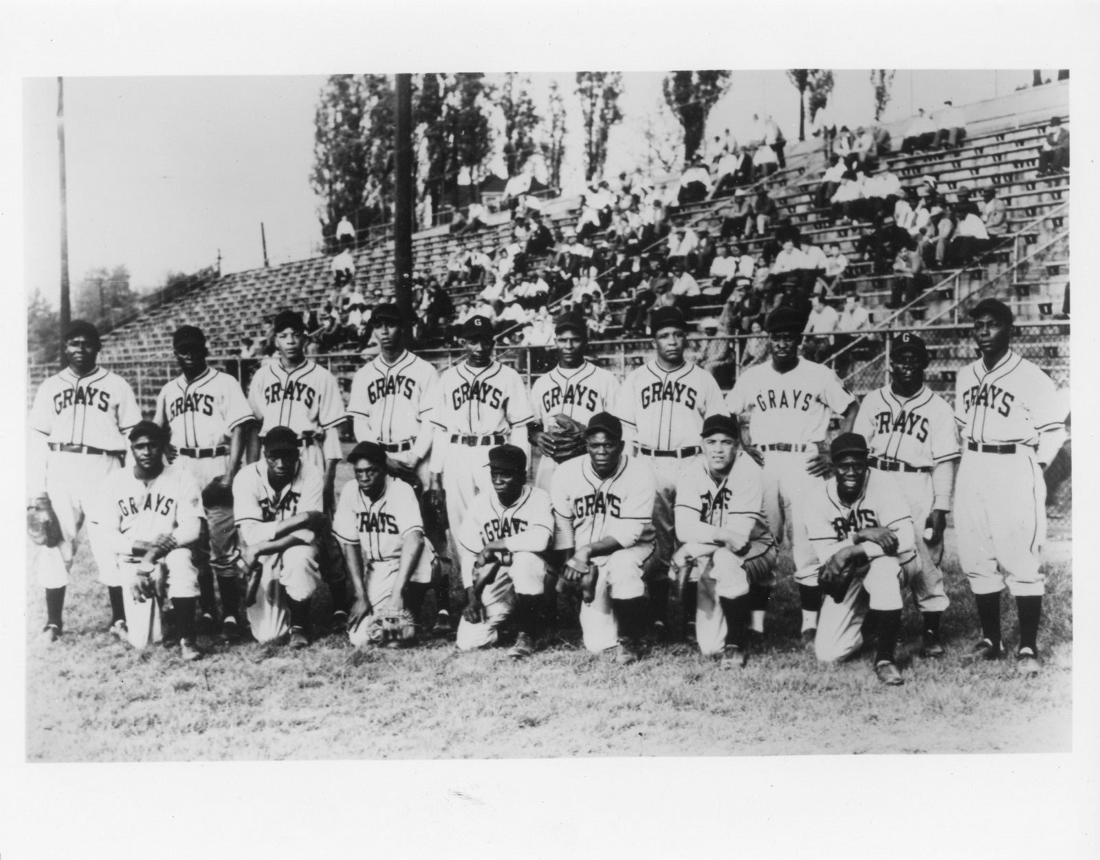 ORIGINAL GRAYS BASEBALL TEAM PHOTO | eBay