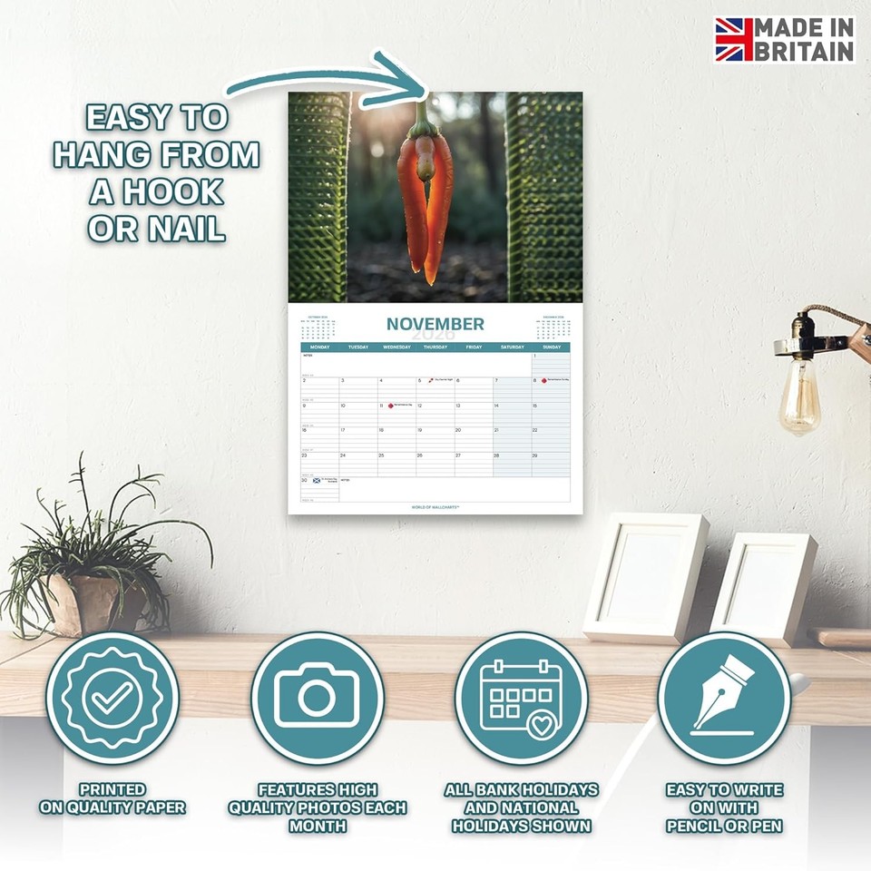 Secret Santa Gifts for Men – Funny & Rude 2026 Calendar “Nature’s D*ck ...
