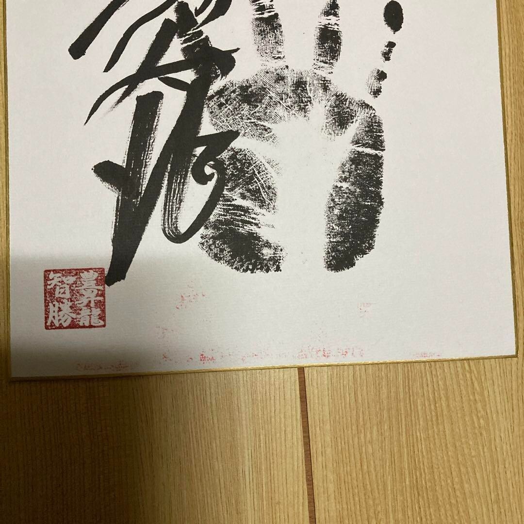 Hoshoryu Ozeki Sumo Wrestler Original Tegata Hand Stamp Used | eBay