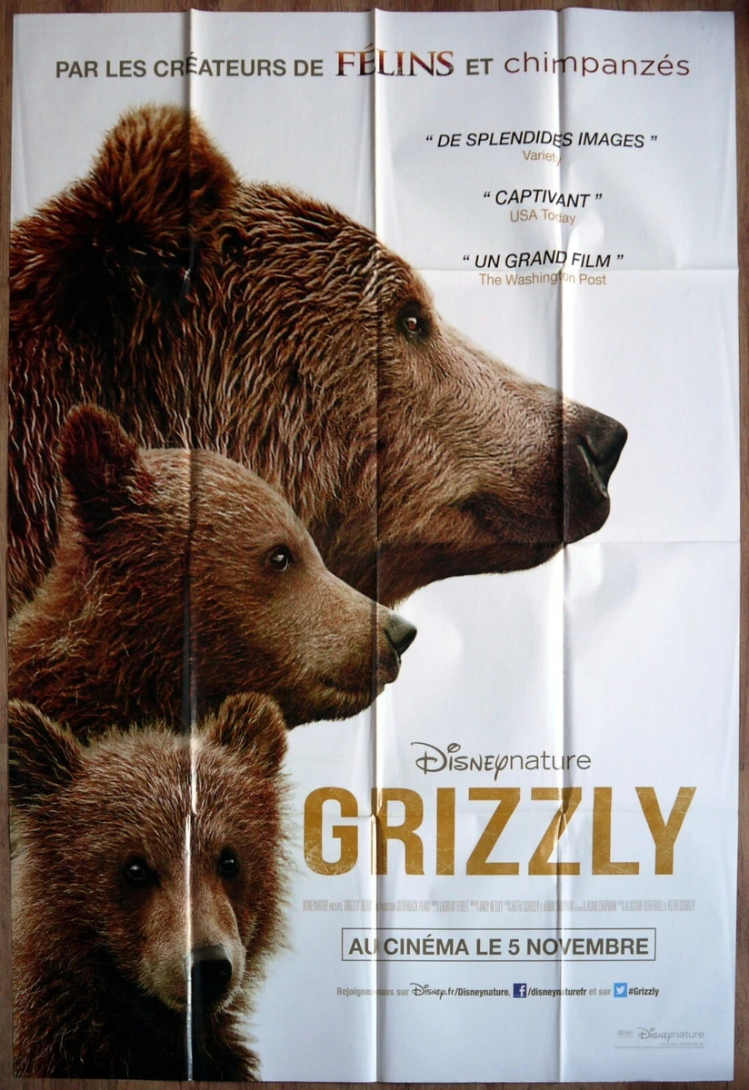 Disney Bears Movie Poster