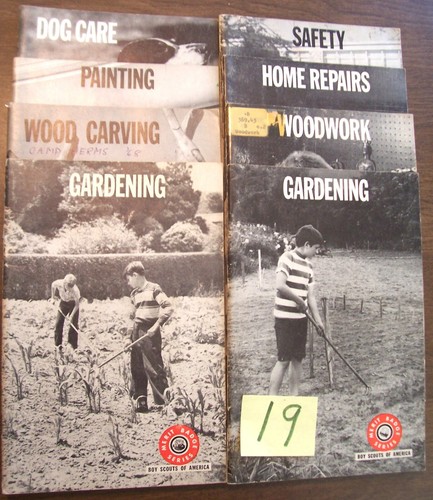 BSA Lot 19 Boy Scout 8 Merit Badge Books 2 GARDENING WOODWORK CARVING ...
