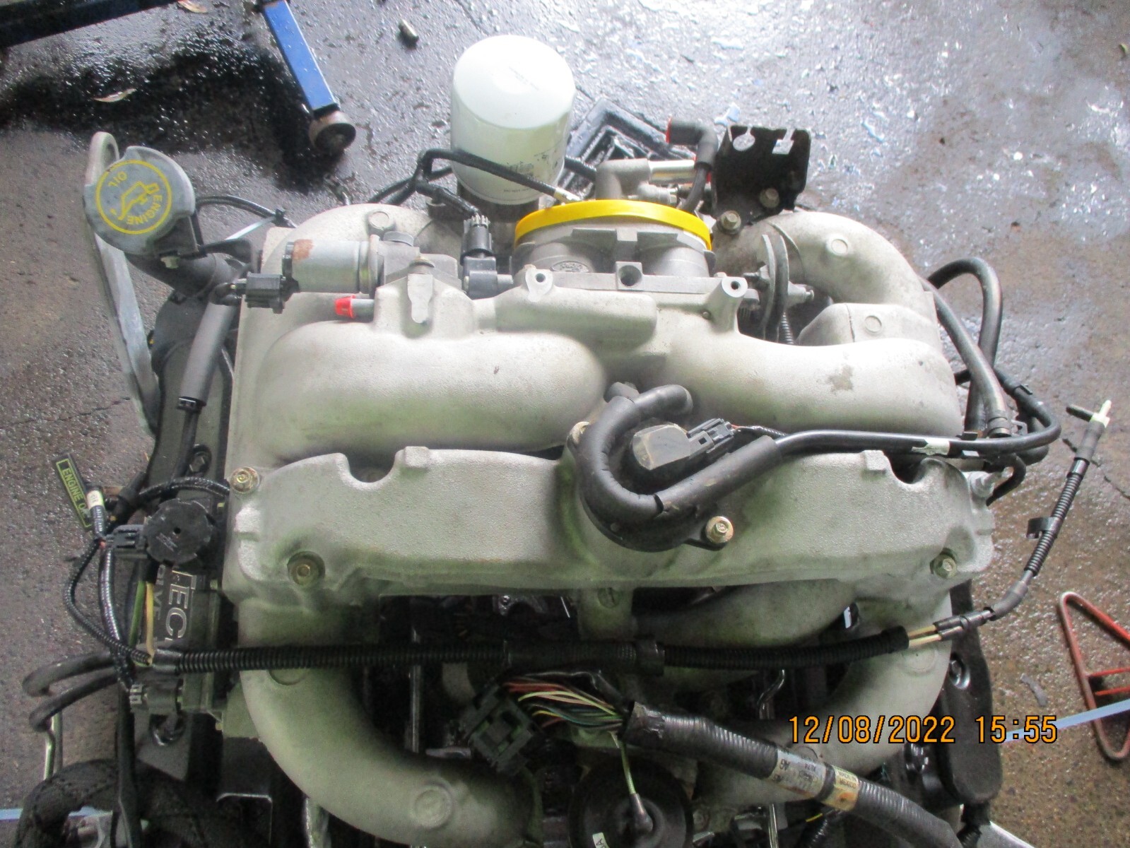 FORD 32 VALVE INTECH 5.4 ENGINE COMPLETE NEW OEM LINCOLN QUAD CAM F ...