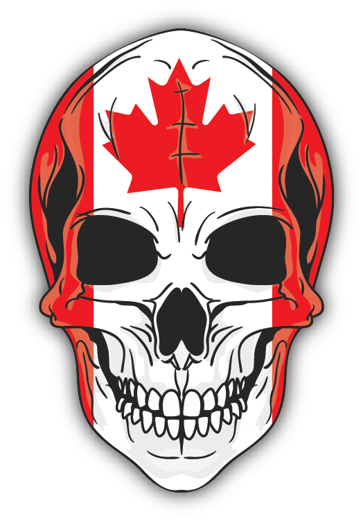Skull Flag Canada Car Bumper Sticker Decal "SIZES'' | eBay