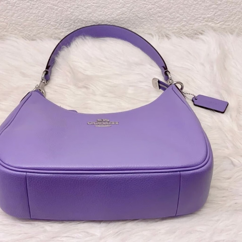 NWT Coach Teri Hobo Bag In Signature Canvas CJ517/CV935/CAL52/CV940 | eBay