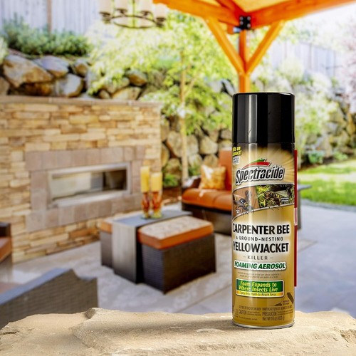 Spectracide Carpenter Bee & Nesting Yellowjacket Killer Spray 16Oz Each ...