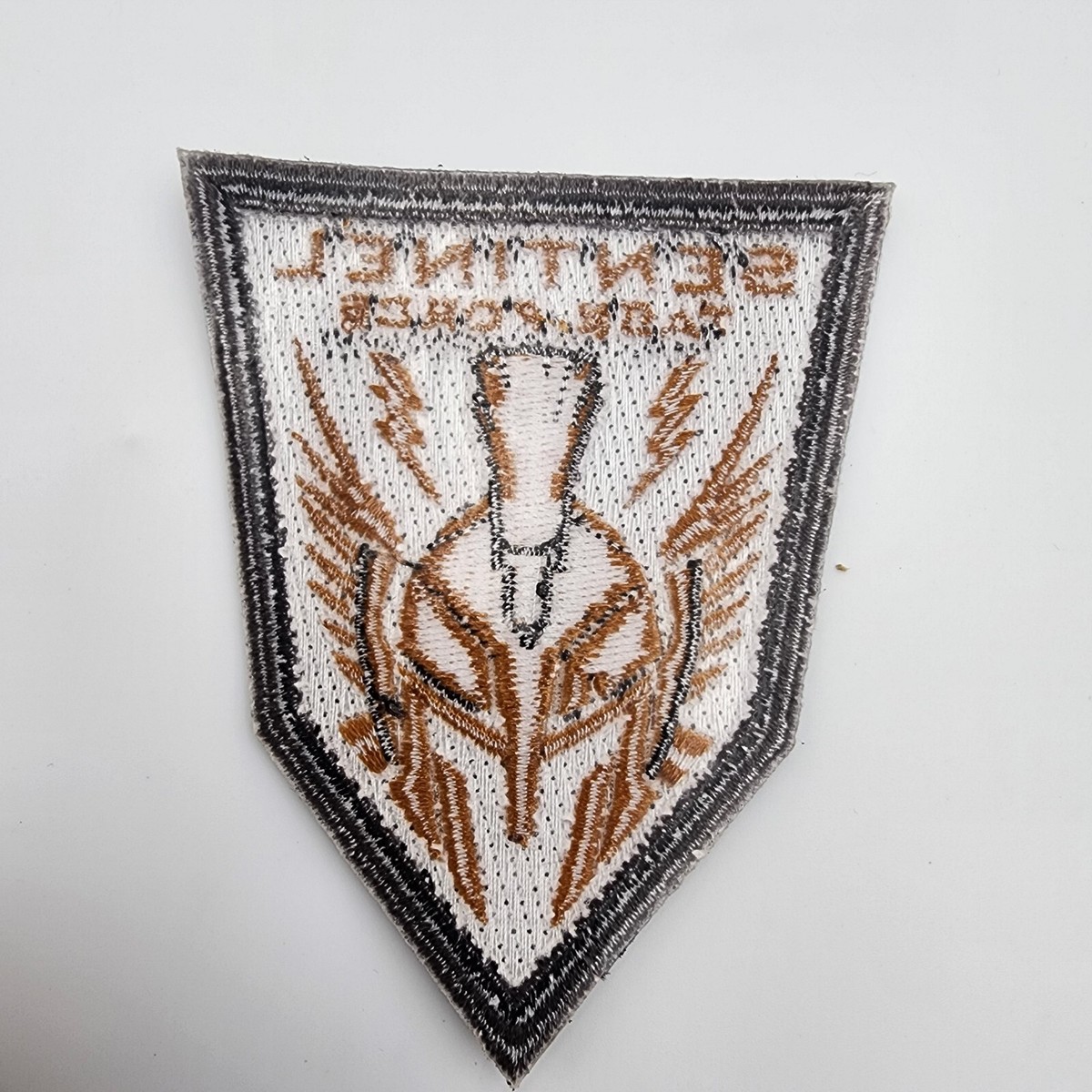 Advanced Warfare Sentinel Task Force Logo 2014 Call Of Duty Advanced