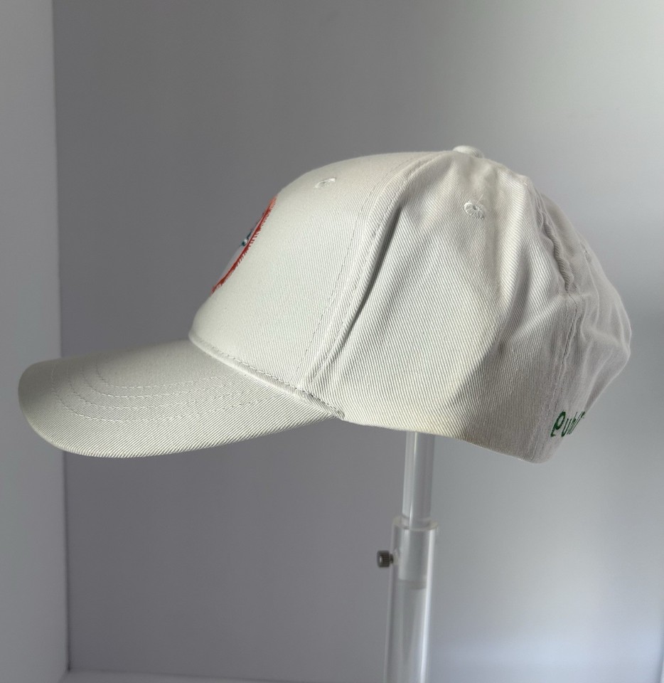 Miami Dolphins Publix 1972 Still Perfect Cap With Retro Dolphins Logo ...