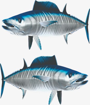 Wahoo Fish Lure fishing Auto Boat Car Window Graphics Decal Sticker 24 ...