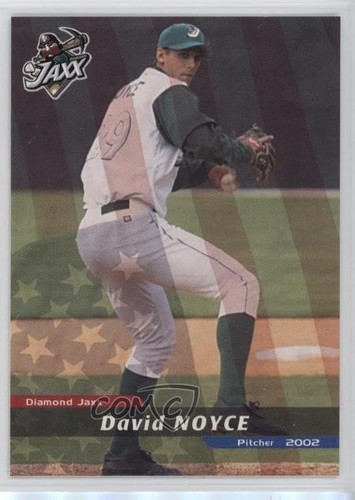 2002 Grandstand West Tennessee Diamond Jaxx David Noyce | eBay