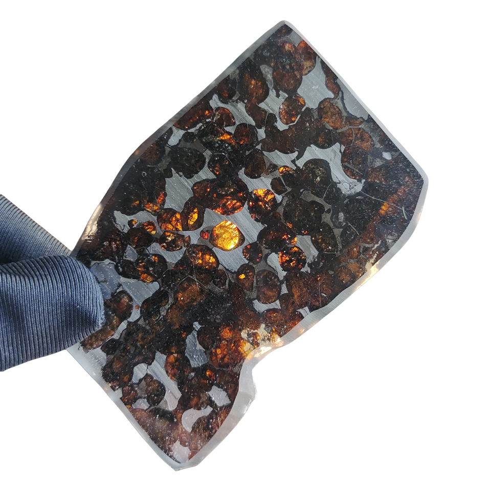 37.3g SERICHO pallasite Meteorite slice - from Kenya QA370 | eBay