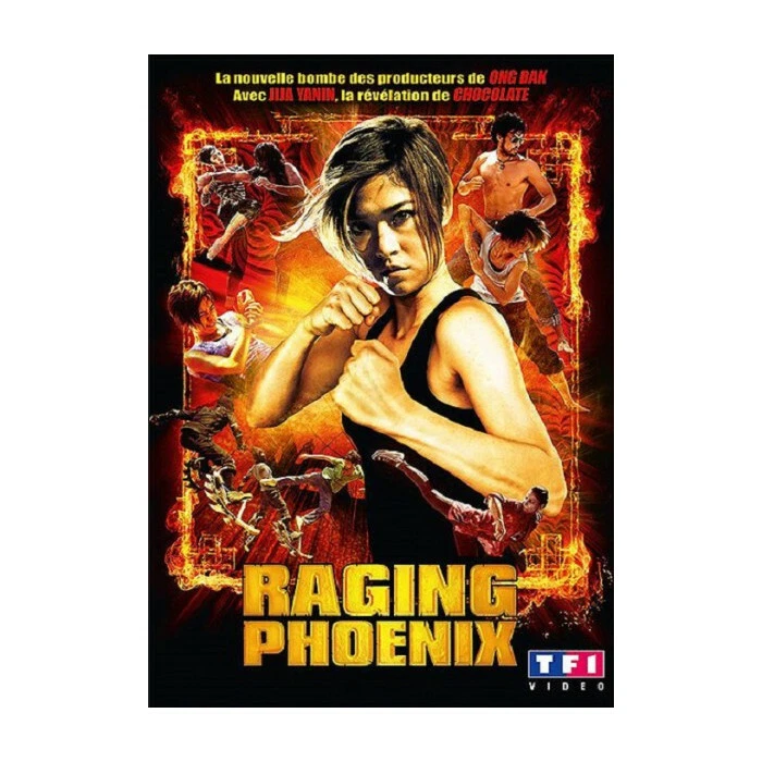 Raging Phoenix Poster
