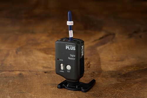Pocket Wizard Plus Digital Receiver works #16618 | eBay