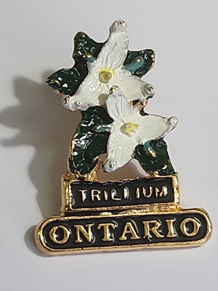 What Is The National Flower Of Ontario | Best Flower Site