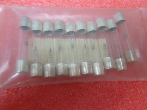10 x Fuse 100mA 32mm (1.25") TDC11 T100mA 250V Antisurge Slow Blow ...