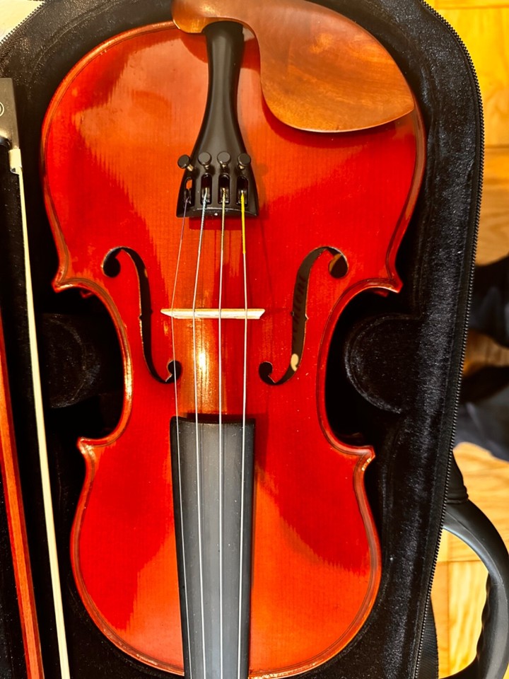 violin 4/4 color, red special violin by Bellini, special price Speci | eBay