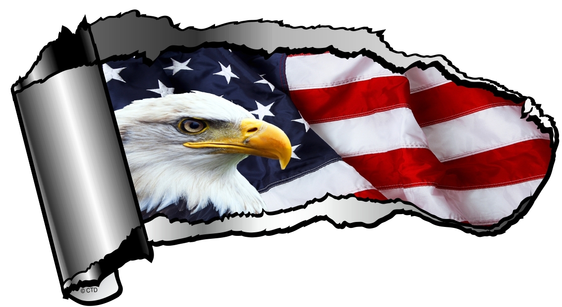 Bald Eagle Tearing Through Flag
