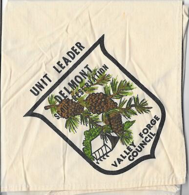 Delmont Reservation Valley Forge Council Tan Unit Leader Neckerchief ...
