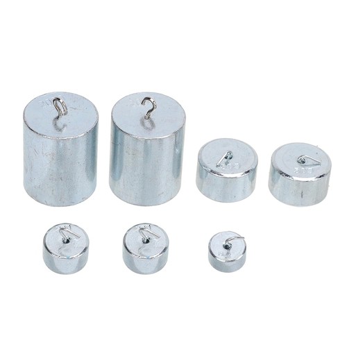 7 Pcs Hooked Weight Set Laboratory Hooked Weight 10g 20g 50g 200g ...