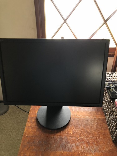 NEC Multisync 22" HD LCD Desktop Monitor w/ VGA/DVI EA221WM-BK | eBay