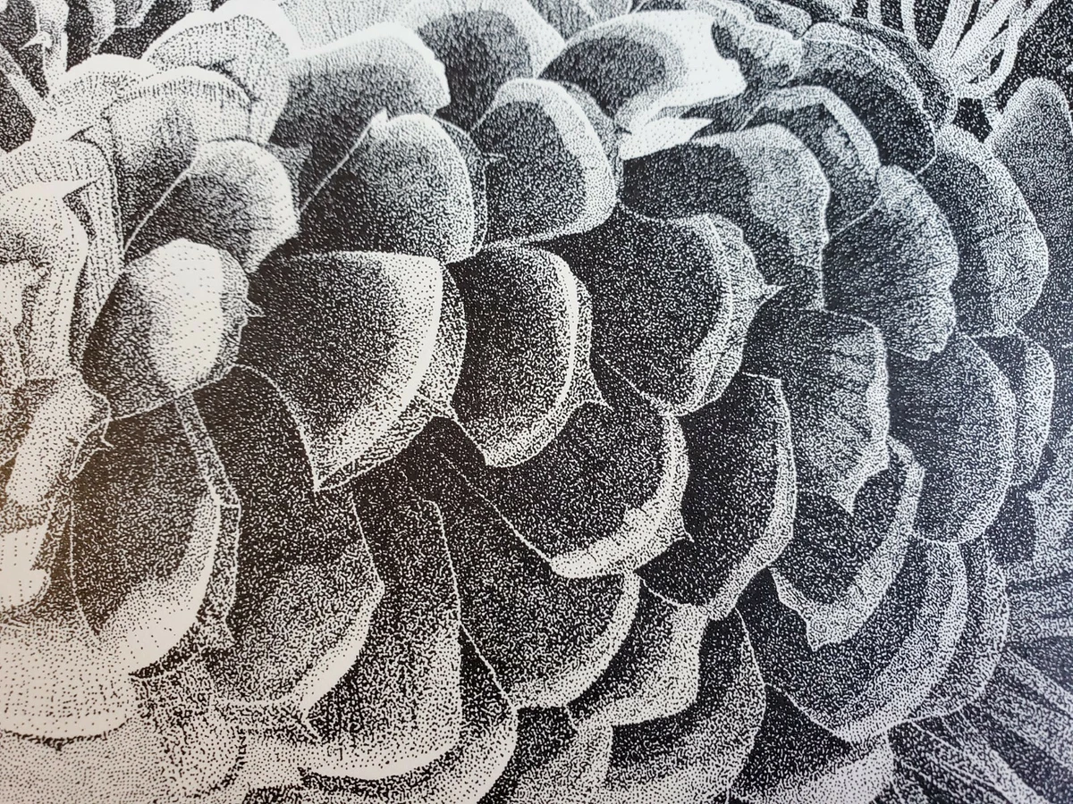 Pointillism Black And White