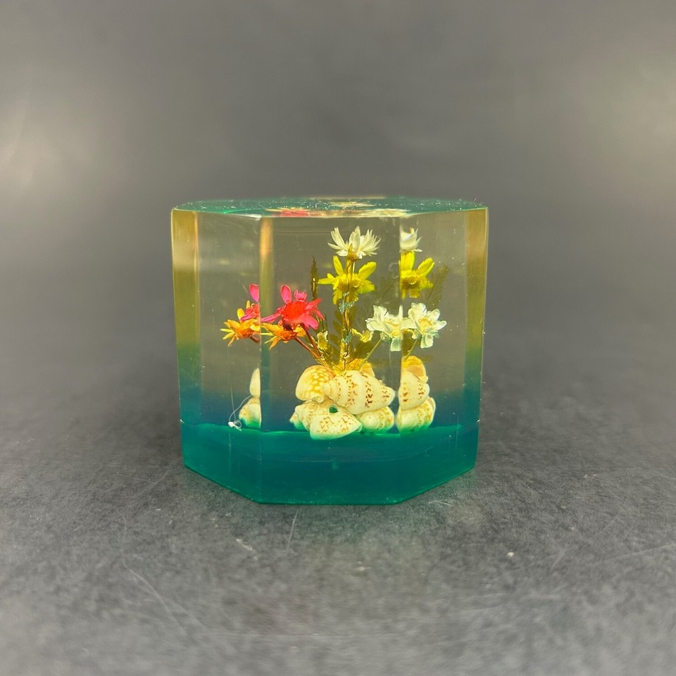 Vtg Lucite Flower and Shell Paperweight Clear with Green Base Made in ...