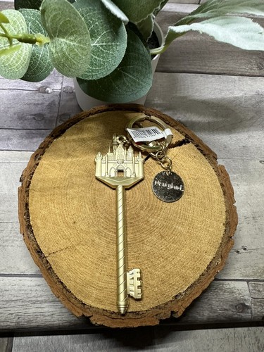 Disneyland Resort Fantasyland Castle Sleeping Beauty Castle Golden Key ...