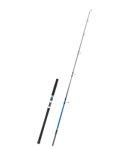 BLUEWING Bluefin Spinning Fishing Rod 2 Pieces Carbon Fiber Rod US ...