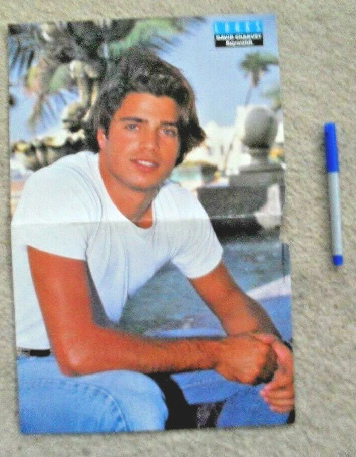 David Charvet Baywatch