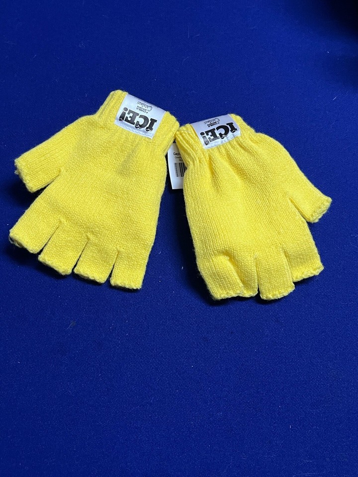 Peanuts Charlie Brown Fingerless Gloves New Gaylord Palms Ice | eBay