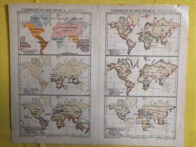 Pre-1900 - 1898 Antique Map - 2