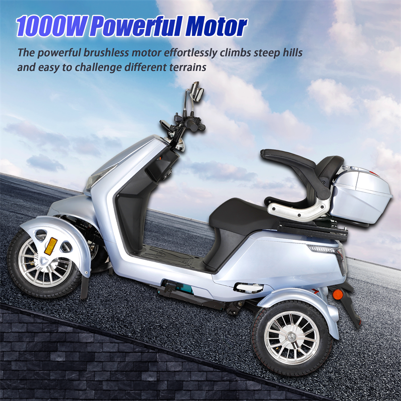 Four Wheel Travel Mobility Scooter 800W 60V 20AH Battery Motor Special ...