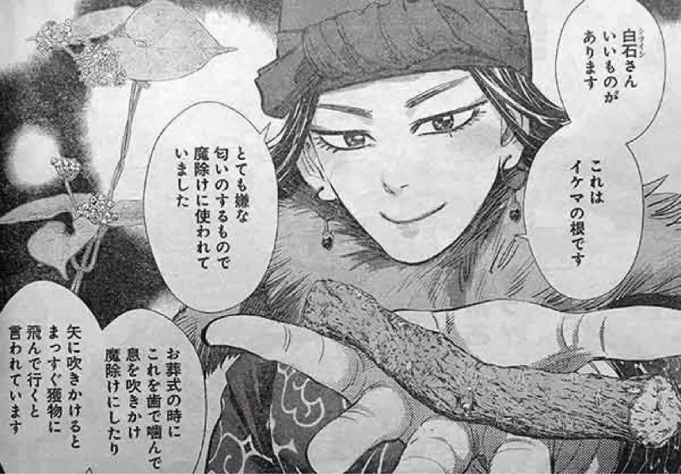 Golden Kamuy Ikema Root | eBay